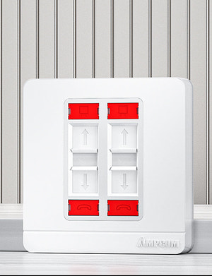 AMPCOM Faceplate & Keystone Jack – Secure, Modular Connectivity Solutions